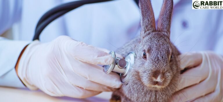 How to Keep Rabbits Warm in Winter: Essential Tips and Tricks